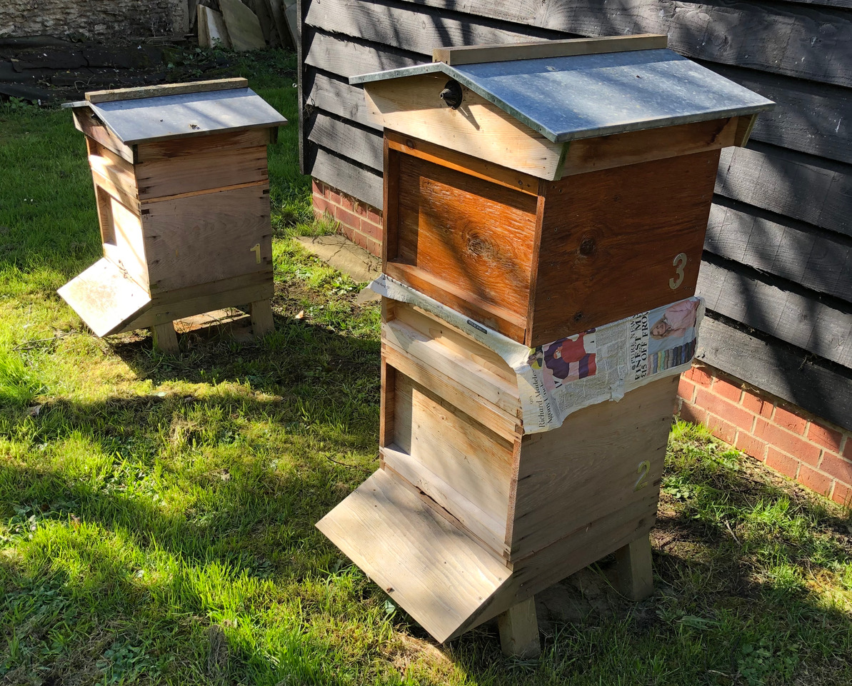 Bee Blog - May 2021 - 2BScientific